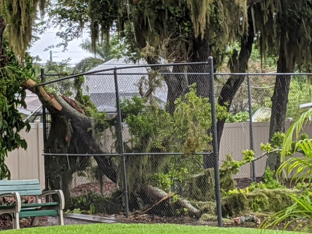 CASTILLO TREE & LAWN SERVICE - Updated October 2025 - 17 Reviews - 900 ...