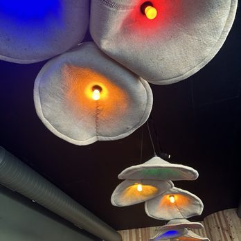 ANELYA - Updated February 2025 - 168 Photos & 51 Reviews - 3472 N ...