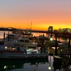 MUTINEER CHARTERS - Updated March 2025 - 14 Photos - 321 E Dock St ...