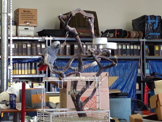 SMOG STATION - Updated December 2025 - 24 Photos & 88 Reviews - 6355 ...