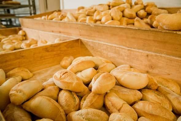 COMMISSO ITALIAN BAKERY - Updated January 2026 - 27 Photos & 19 Reviews ...