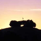 NEWHALL COMMUNITY PARK - 211 Photos & 94 Reviews - Turtle Creek Rd ...