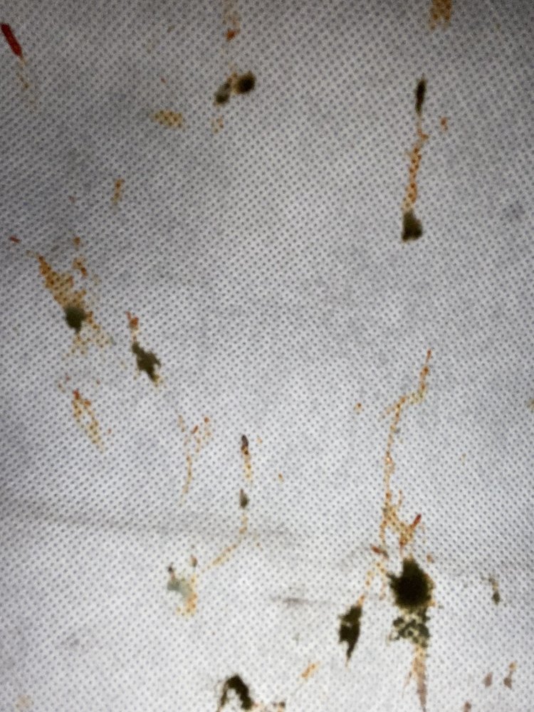 MONTEREY SURF INN - Updated January 2026 - 133 Photos & 176 Reviews ...