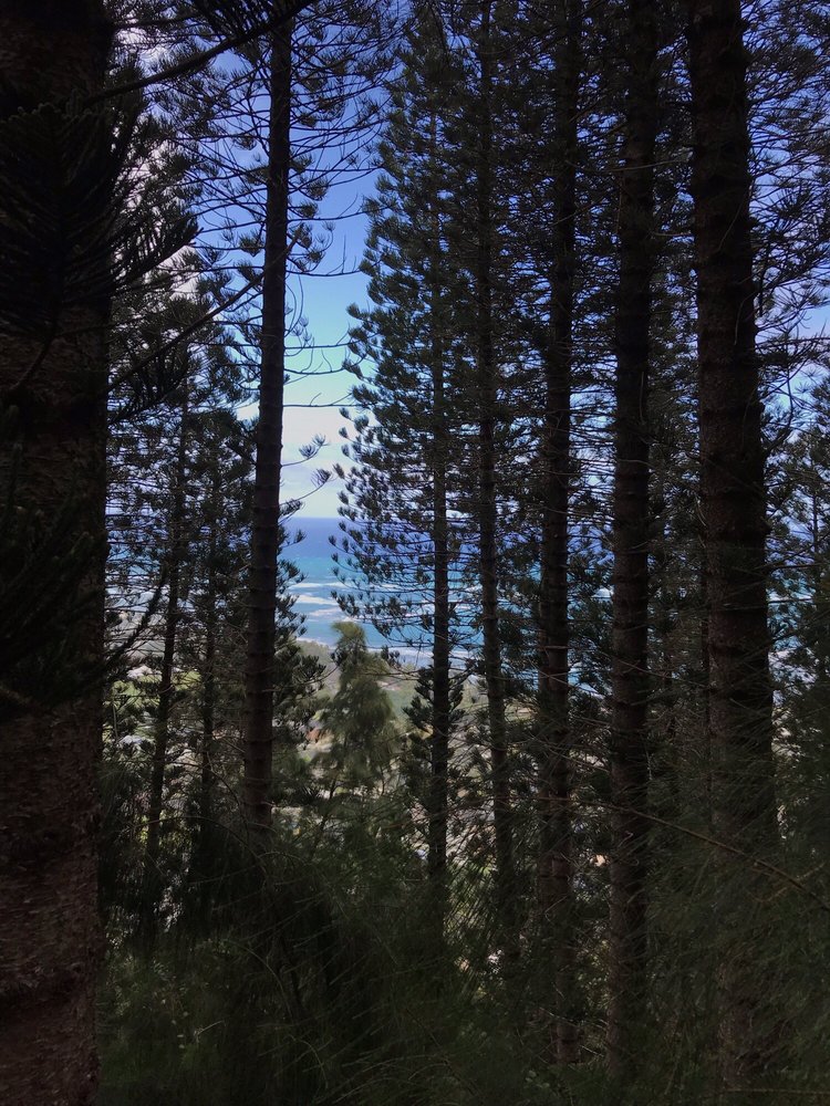 HAU’ULA LOOP TRAIL - 126 Photos & 20 Reviews - 54-55 Maakua Rd, Hauula ...