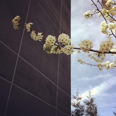 UC MERCED LIBRARY - Updated October 2025 - 29 Photos & 15 Reviews ...