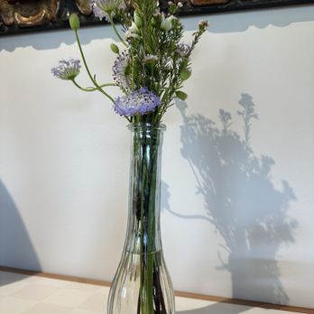 BORAGE - Updated July 2024 - 119 Photos & 27 Reviews - 1609 N Lynhurst ...