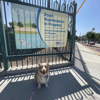 ROWENA RESERVOIR - Updated October 2025 - 50 Photos - 3100 Ettrick St ...