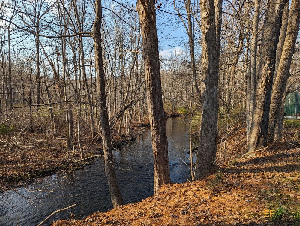 BEEKMAN RECREATION AND PARK - Updated August 2025 - 10 Photos - 29 ...