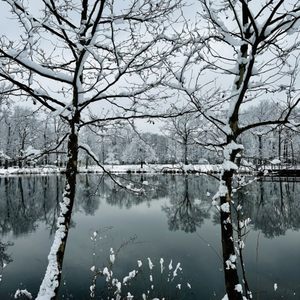 MEISEL PARK - Updated August 2025 - 278 Meisel Ave, Springfield ...