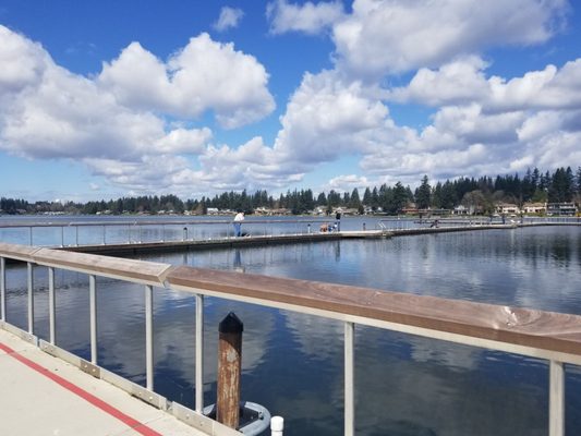 LAKE MERIDIAN PARK - 91 Photos & 33 Reviews - Lakes - 14800 SE 272nd St ...