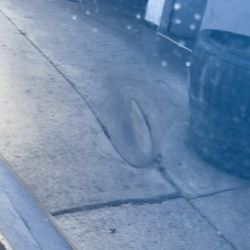 DENT MAN - 109 Photos & 209 Reviews - 24309 Creekside Rd, Santa Clarita ...