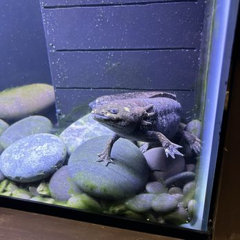 LONG ISLAND AQUARIUM - Updated July 2024 - 1119 Photos & 314 Reviews ...