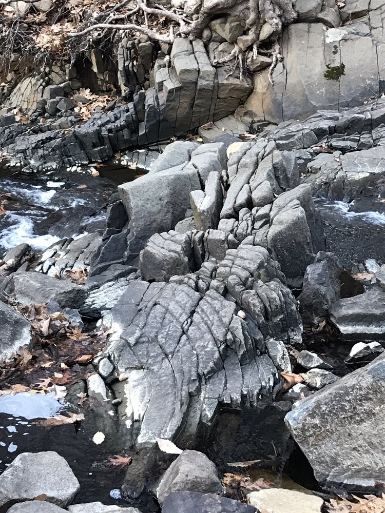 FLAT ROCK BROOK NATURE ASSOCIATION - Updated June 2025 - 221 Photos ...