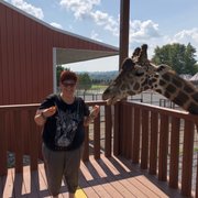 BRIGHT’S ZOO - 41 Photos & 16 Reviews - Zoos - 3425 Hwy 11 E, Limestone ...