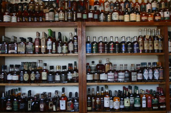 THE AUSTIN SHAKER - 33 Photos & 45 Reviews - 1199 Airport Blvd, Austin ...