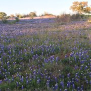 OXFORD RANCH CAMPGROUND - 18 Photos & 13 Reviews - 11380 S State Hwy 16 ...