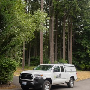 PURCOR PEST SOLUTIONS - Updated December 2025 - 48 Photos & 449 Reviews ...