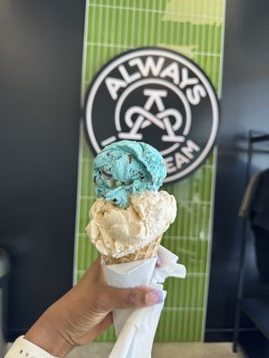 ALWAYS ICE CREAM - Updated October 2025 - 19 Photos & 11 Reviews - 1153 ...