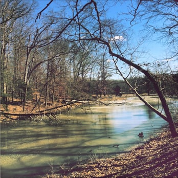 CLARK STATE FOREST - Updated December 2025 - 21 Photos - Henryville ...