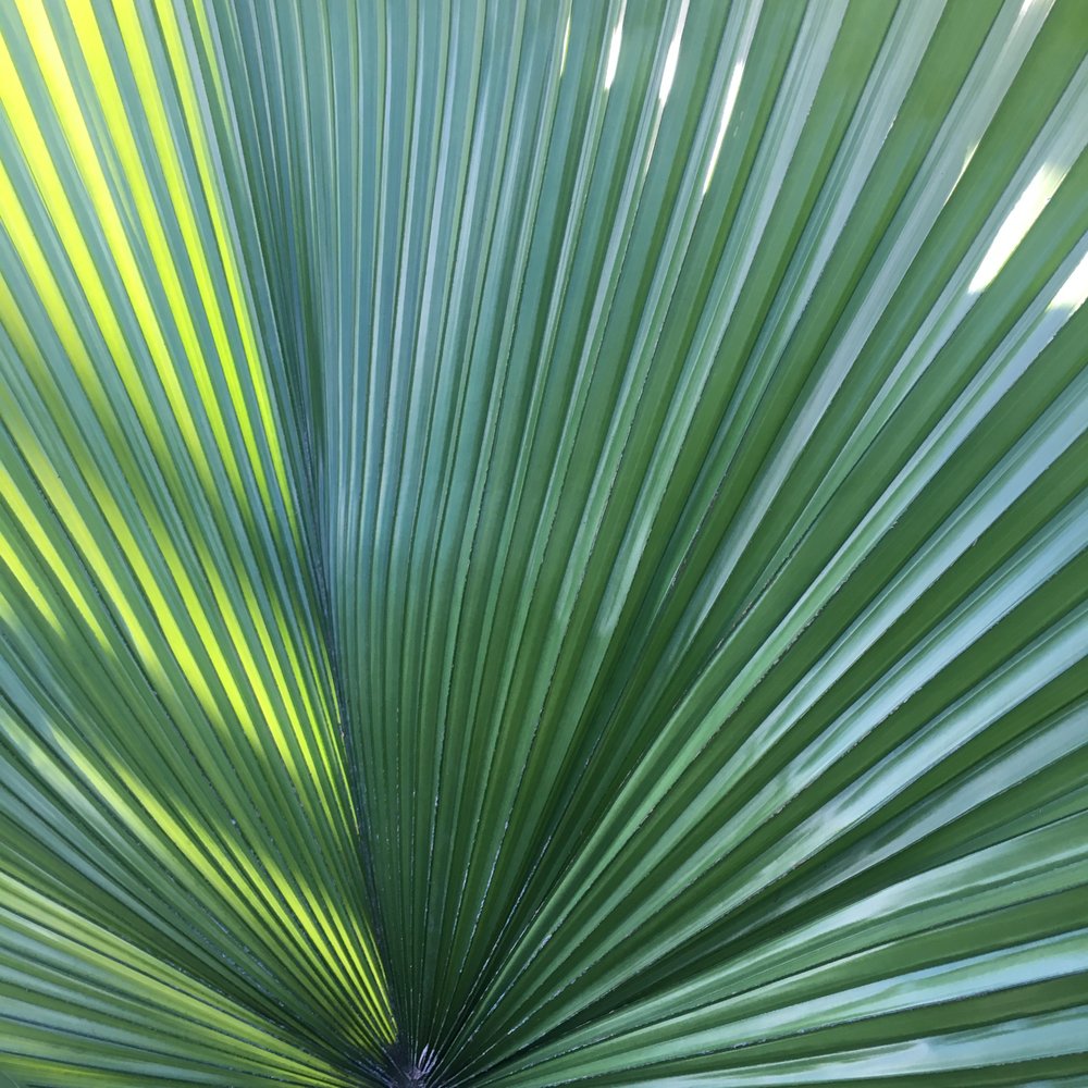 THE PALMS - Updated March 2025 - 327 Mona Vale Rd, Terrey Hills New ...