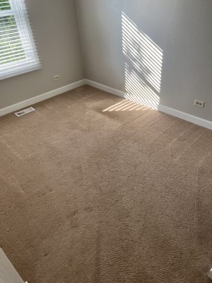 ECOCLEAN - Updated December 2025 - 47 Photos & 199 Reviews - 5233 ...