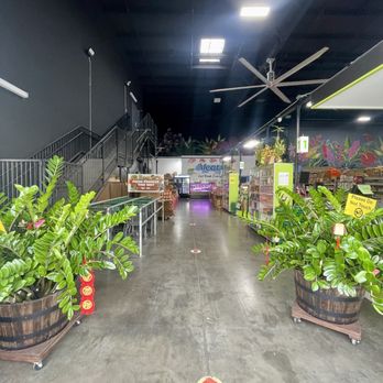 ISLAND GREEN MART - Updated September 2024 - 705 Photos & 59 Reviews ...