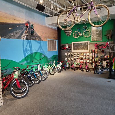 MYSTIC CYCLE CENTRE - Updated January 2026 - 22 Photos & 29 Verified ...