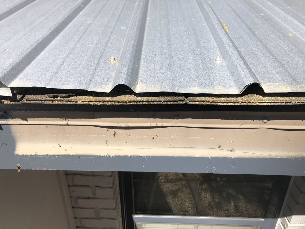 ELEMENT RESTORATION GROUP - Updated January 2026 - 15 Photos & 10 ...