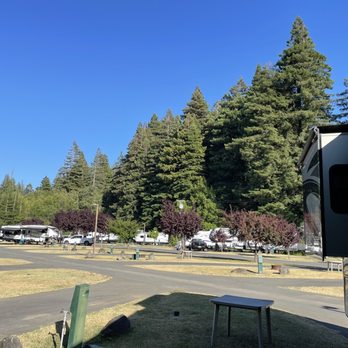 ANCIENT REDWOODS RV PARK - Updated October 2025 - 91 Photos & 32 ...