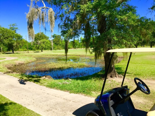 BAYOU DIN GOLF CLUB - Updated December 2025 - 10 Photos - 8537 Labelle ...