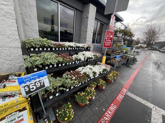 WALMART SUPERCENTER - Updated August 2024 - 40 Photos & 53 Reviews ...