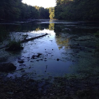 HAROLD PARKER STATE FOREST - Updated June 2024 - 67 Photos & 37 Reviews ...