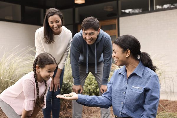 PURCOR PEST SOLUTIONS - Updated October 2025 - 35 Photos & 449 Reviews ...