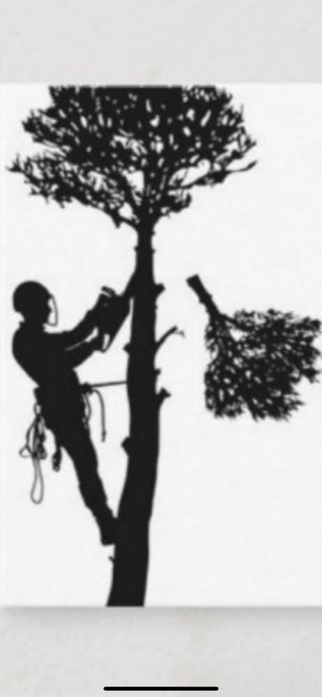 TK TREE PRO - Updated March 2025 - 5111 S Julia St, Spokane, Washington - Tree Services - Phone ...