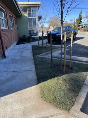 THUNDER LANDSCAPING - 111 Photos - Burlington, Washington - Landscaping ...