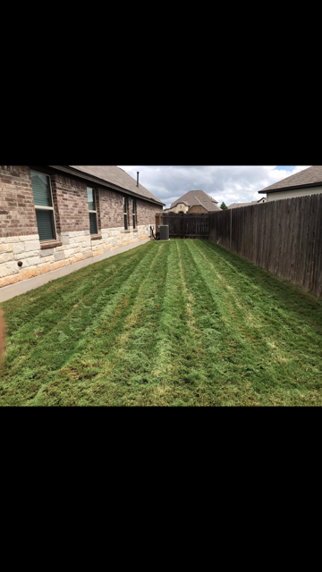FREEDOM LANDSCAPING - Updated November 2024 - 12 Photos - Austin, Texas ...