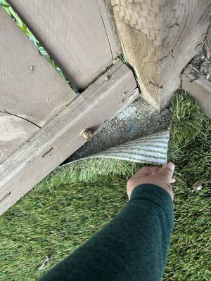 BIG BULLY TURF - 25 Photos & 11 Reviews - 350 Tenth Ave, San Diego ...