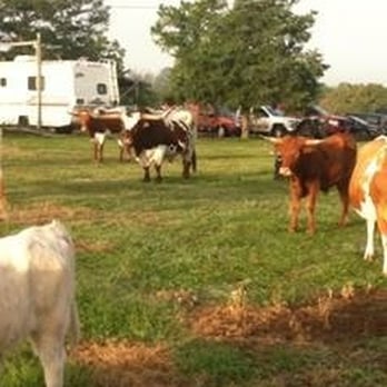 BLUFF CREEK RANCH - Updated January 2026 - Owl Creek Rd, Warda, Texas ...