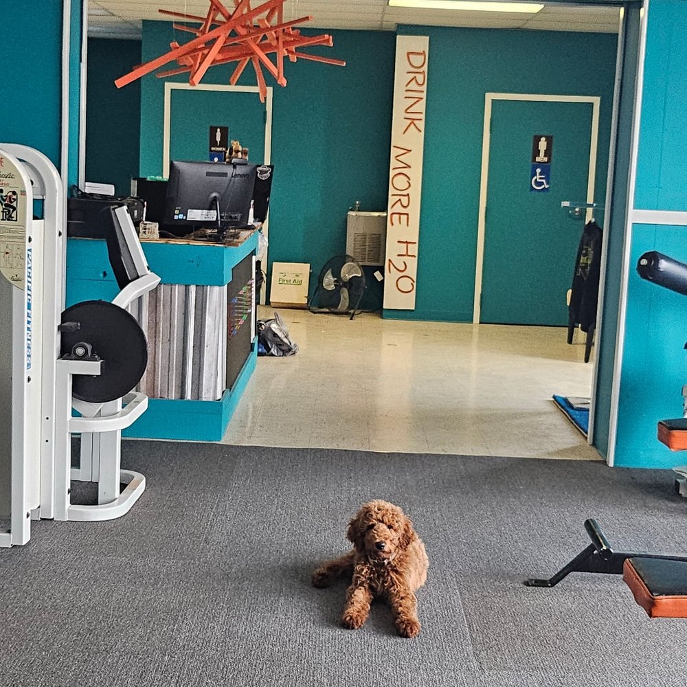 FAITH FUELED FITNESS - Updated July 2025 - Request Information - 503 ...