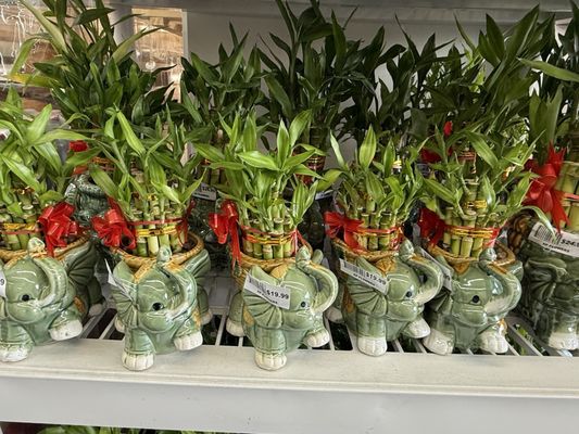 BIG SQUARE - Updated December 2025 - 164 Photos & 154 Reviews - 831 N ...