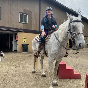 MEMORY LANE STABLES - Updated December 2025 - 168 Photos & 123 Reviews ...