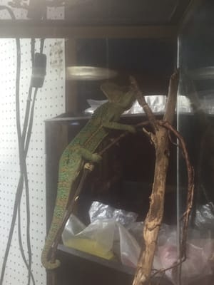 FATHER FISH AQUARIUM - Updated July 2024 - 10 Reviews - 536 E Venice ...