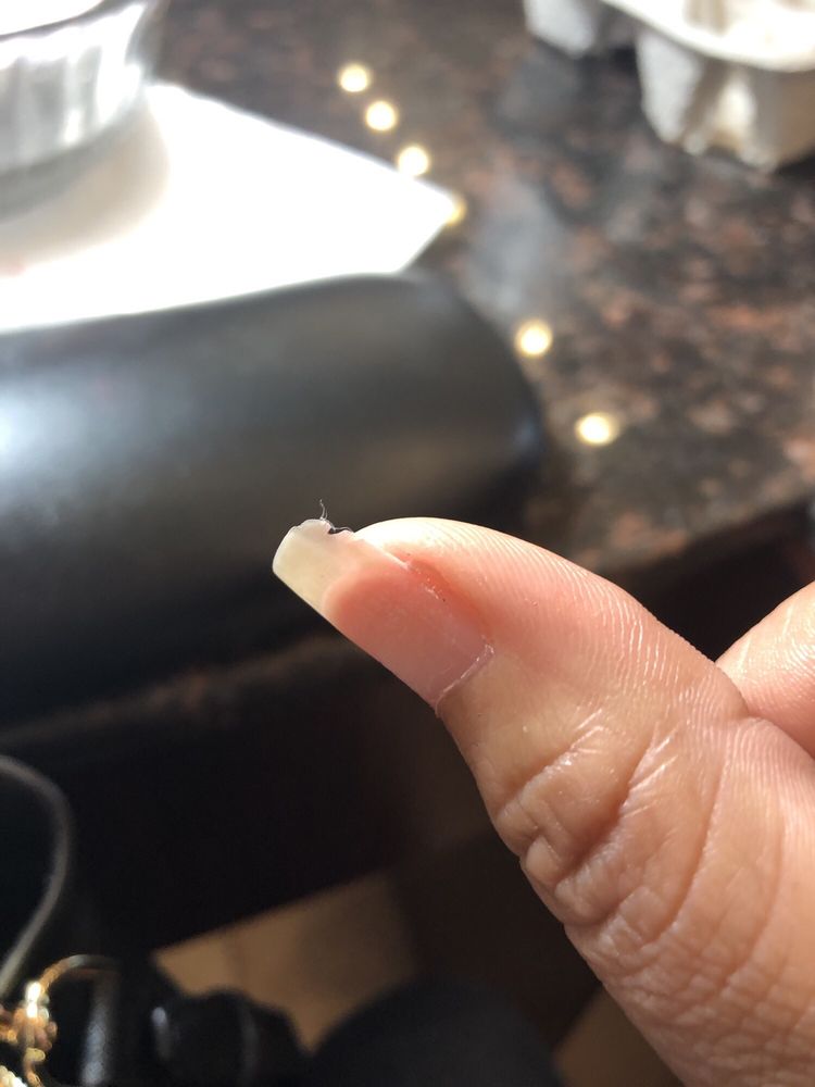 CAPITAL NAIL & SPA - 67 Photos & 60 Reviews - Nail Salons - 130 E Front ...