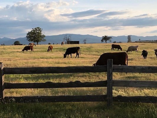 WHITE OAK RANCH - Updated December 2025 - 10700 Agate Rd, Eagle Point ...