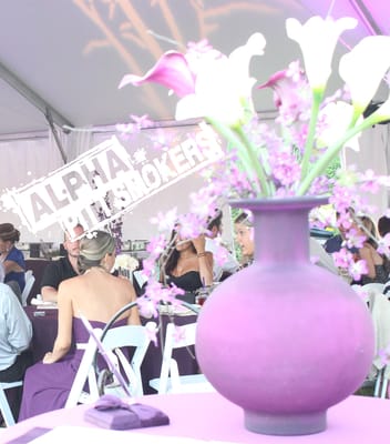 ALPHA PITT SMOKERS - Updated June 2025 - 16 Photos - 5085 Longhill Rd ...