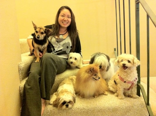 ROSEY DOG CARE - Updated September 2024 - 28 Photos & 10 Reviews - San ...