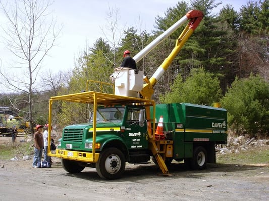 THE DAVEY TREE EXPERT COMPANY - Updated October 2025 - 29 Photos & 78 ...