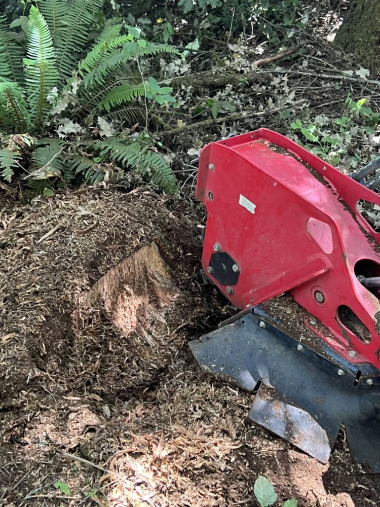 COPPER FOREST DESIGNS - Updated April 2024 - Request a Quote - Amity ...