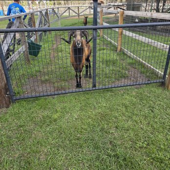 GOOD MOOD RANCH - Updated December 2025 - 148 Photos & 18 Reviews - 306 ...