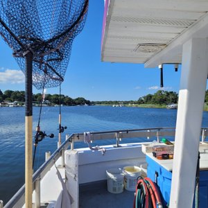 CAPTAIN WHITTAKER FAMILY FISHING - Updated June 2025 - 28 Photos & 10 ...